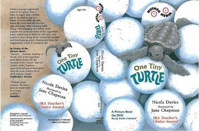 Walker Books - One Tiny Turtle (Nature Storybooks - Nicola Davies ...