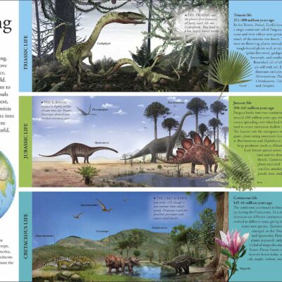 Dinosaurs A Children's Encyclopedia - WordUnited