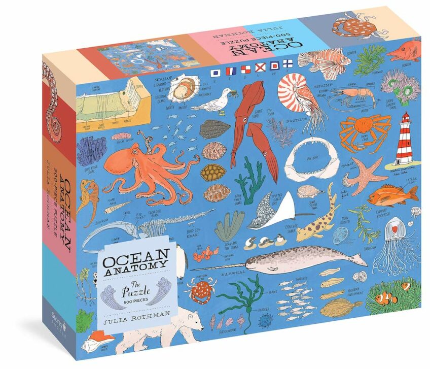 Ocean Anatomy Puzzle (500 pieces) - WordUnited