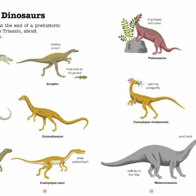 Do You Know? Dinosaurs and the Prehistoric World - WordUnited